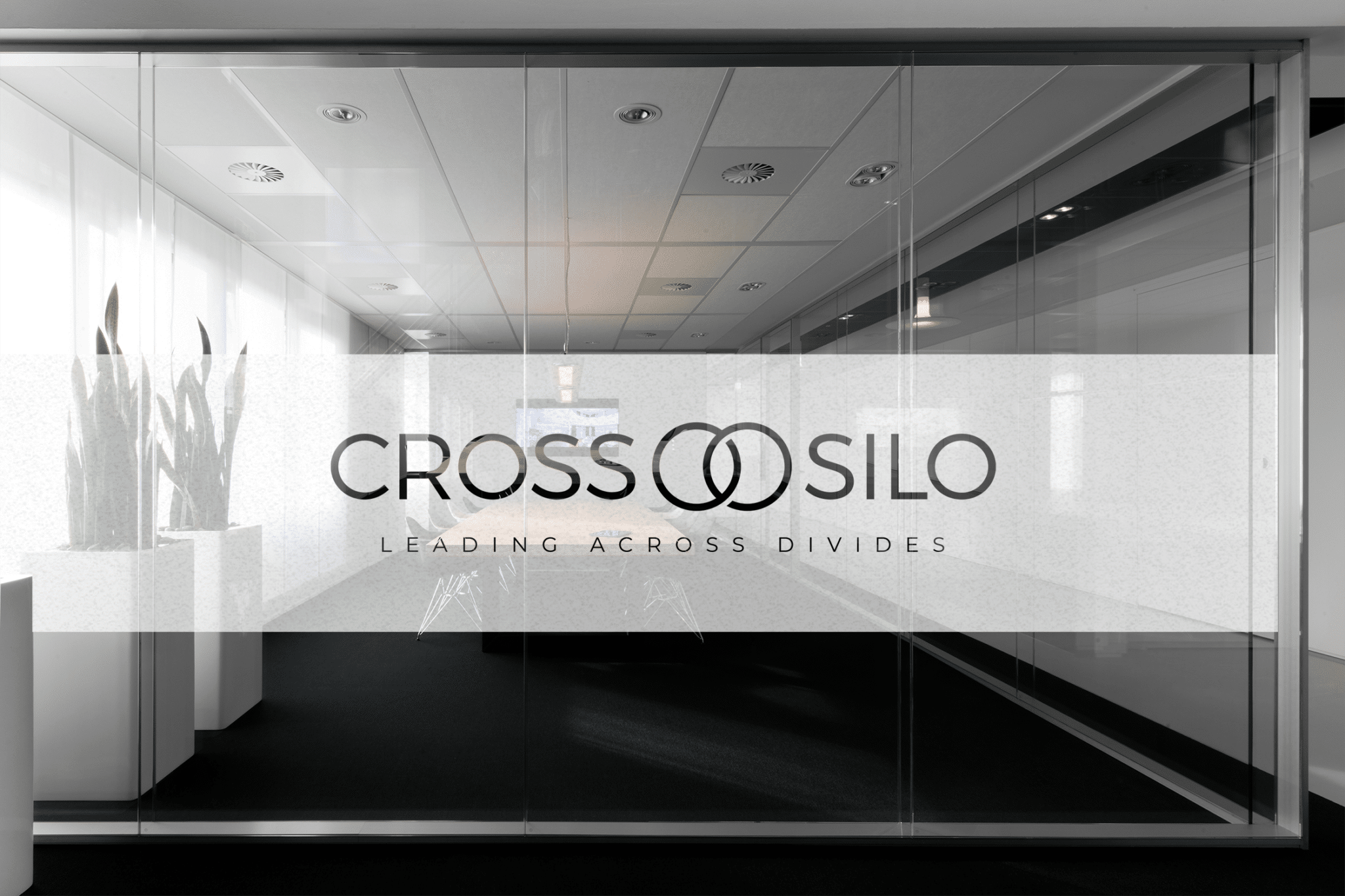 CROSS-SILO ─ Leading Across Divides, Cultivating Shared Value CROSS-SILO ─ Leading Across Divides, Cultivating Shared Value